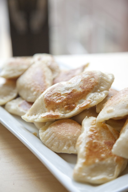 Picture of Pierogi