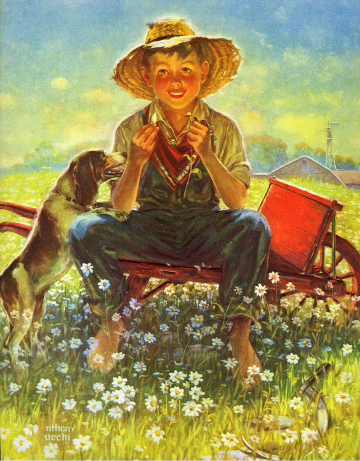 Picture of Anthony Cucchi