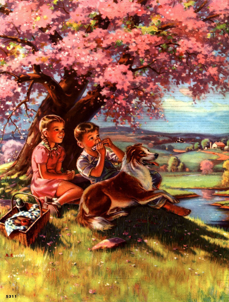 Picture of Anthony Cucchi