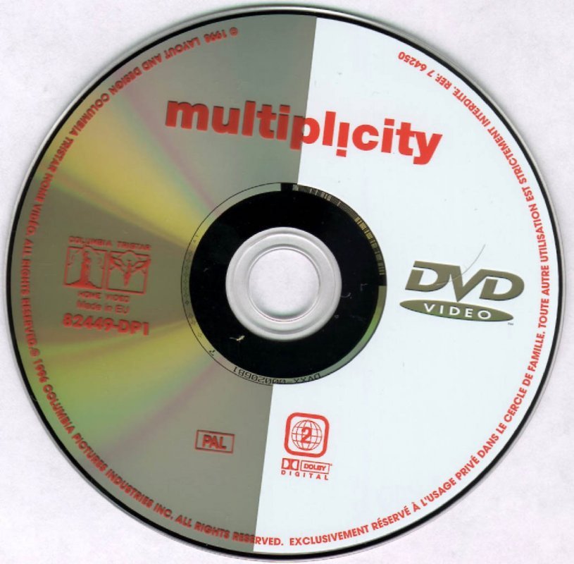 Picture of Multiplicity (1996)