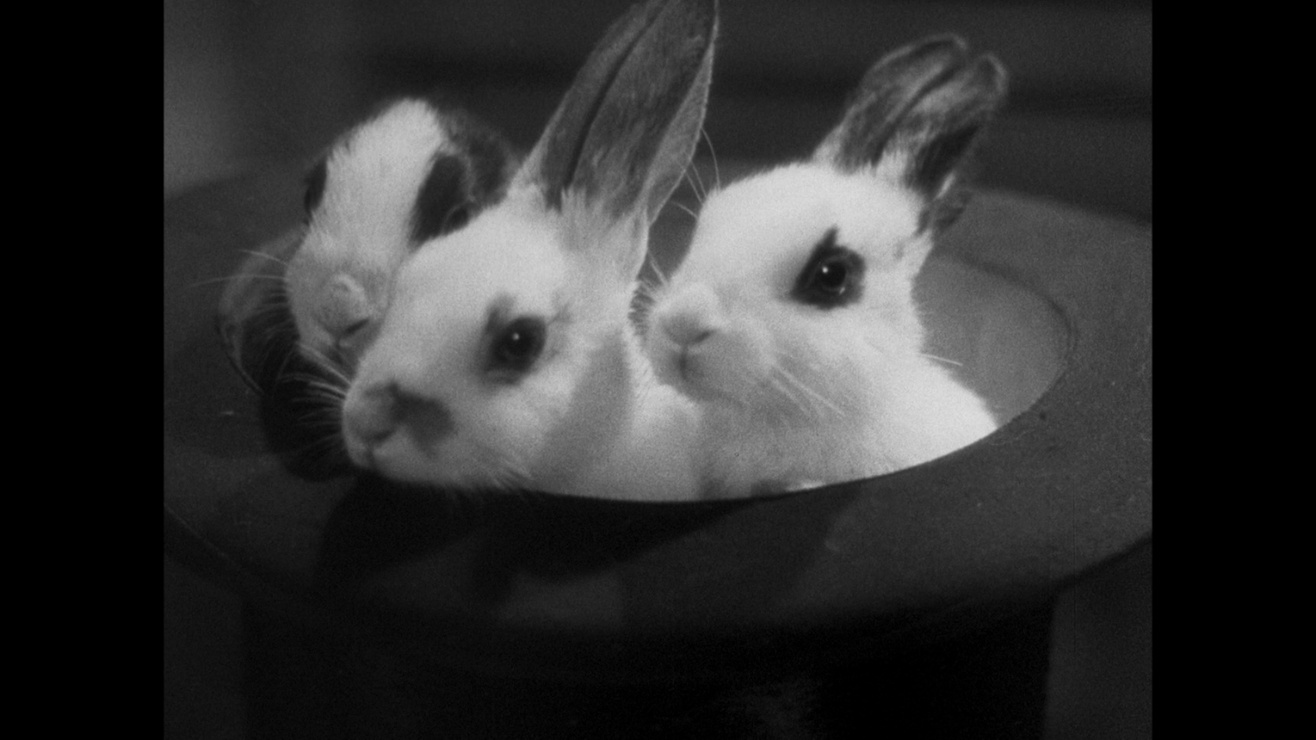Picture of The Lady Vanishes