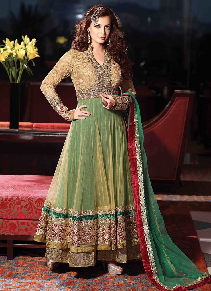 Picture of Diya Mirza