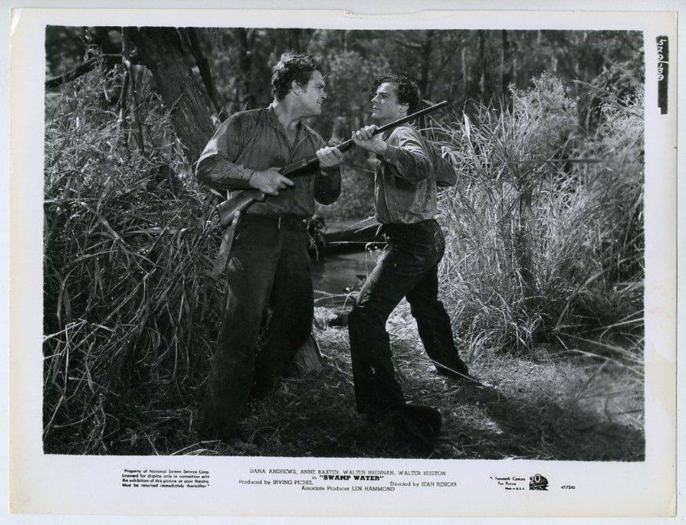 Picture of Swamp Water