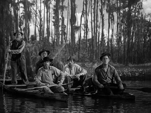 Picture of Swamp Water (1941)