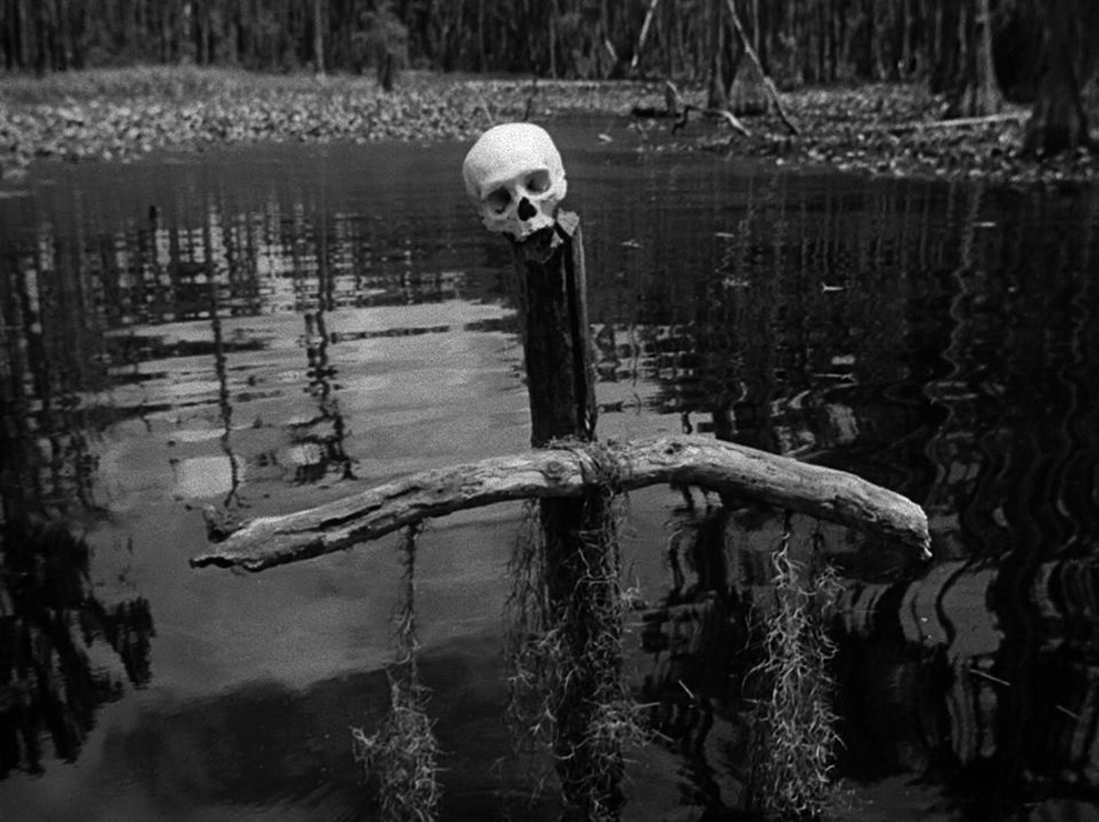 Picture of Swamp Water