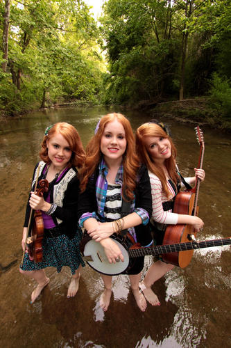 Picture of Red Roots