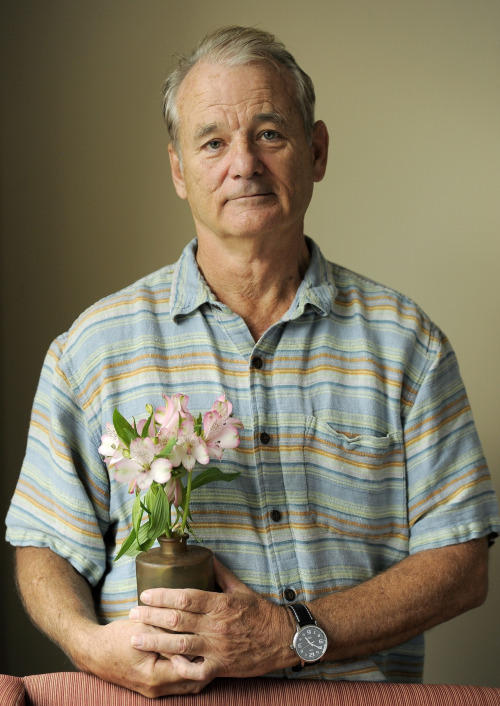 Picture of Bill Murray