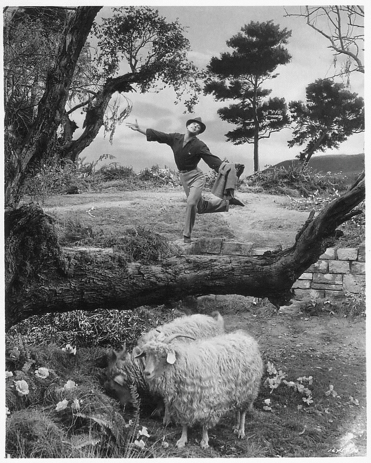 Picture of Brigadoon