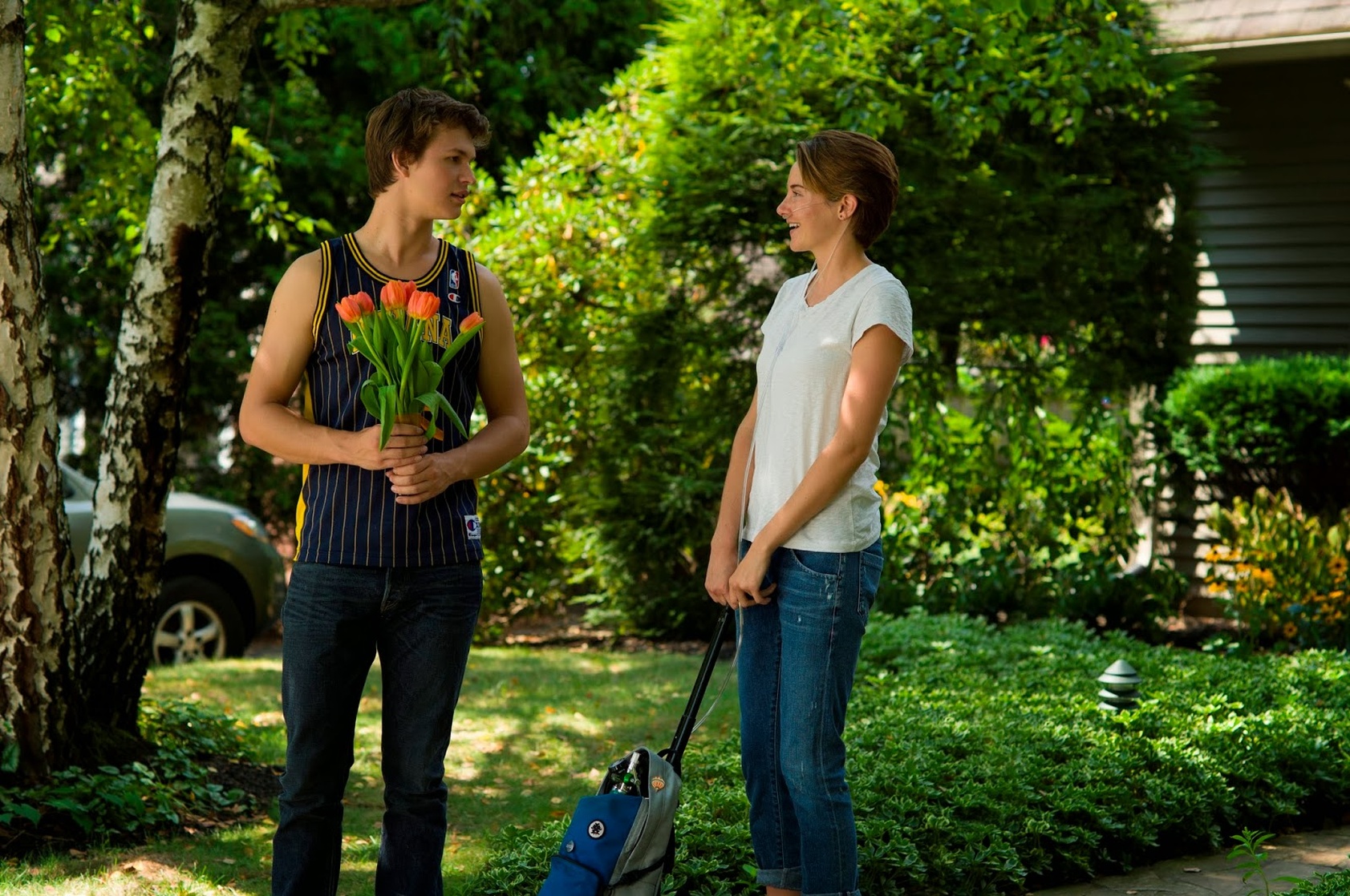 Picture of The Fault in Our Stars