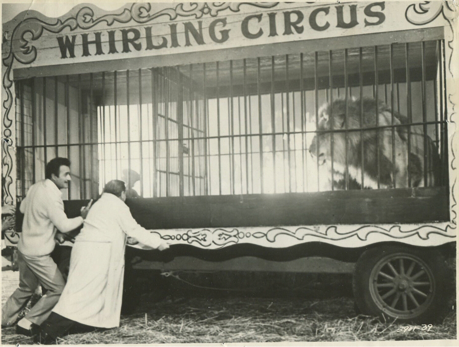 Picture of The Big Circus