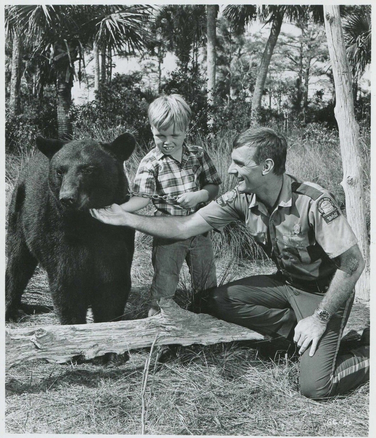 Gentle Ben image
