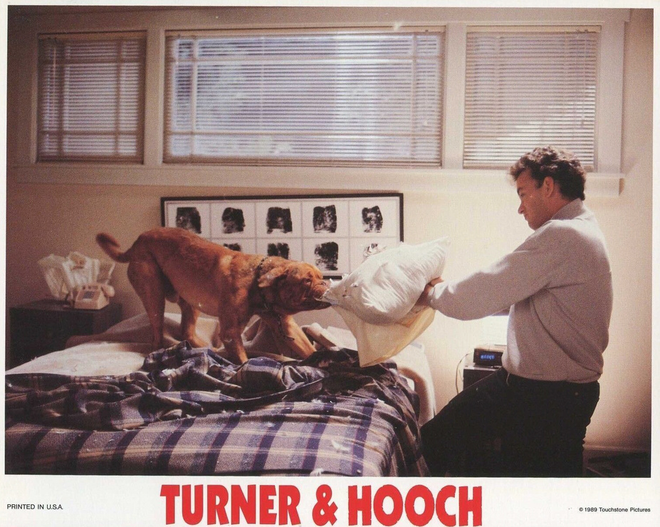 Picture of Turner & Hooch (1989)