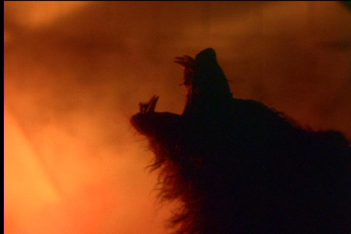 Picture of The Howling