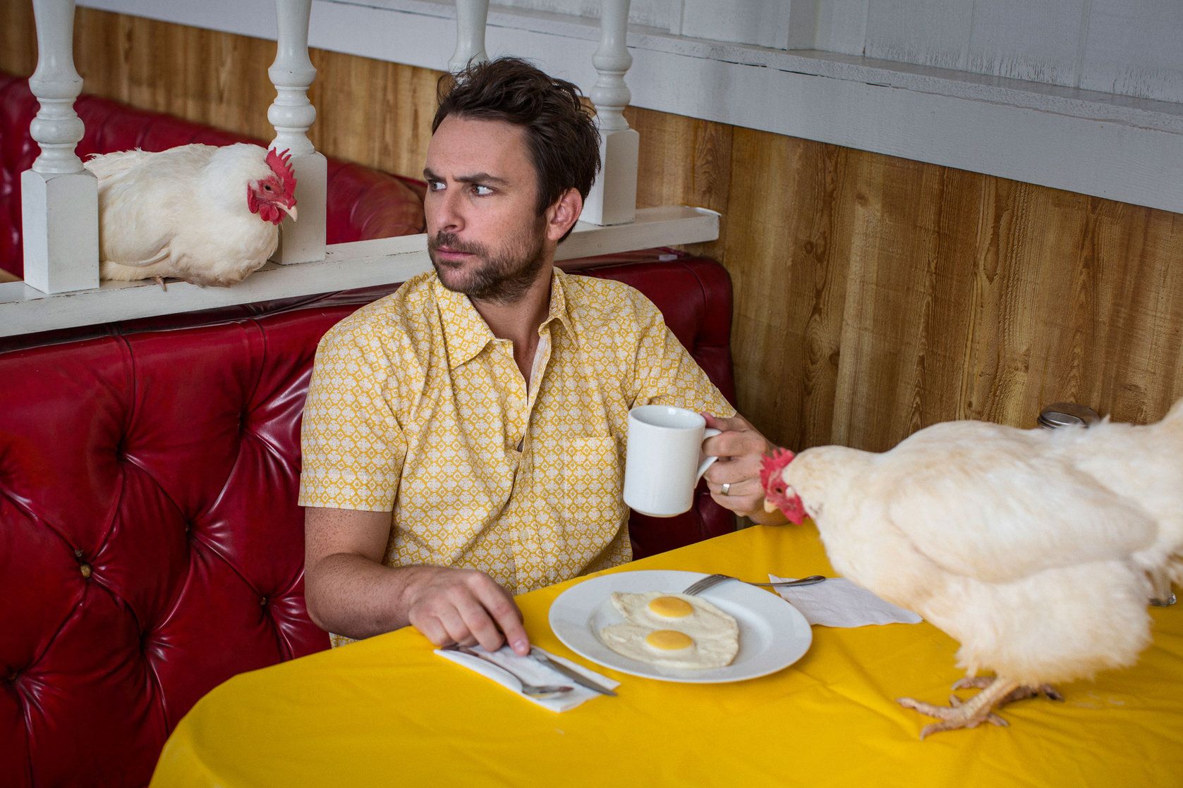 Picture of Charlie Day