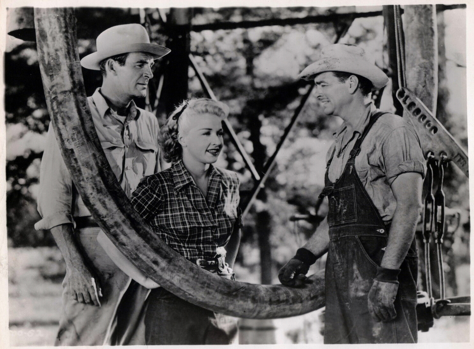 Rod Cameron, Bonita Granville, Don Castle