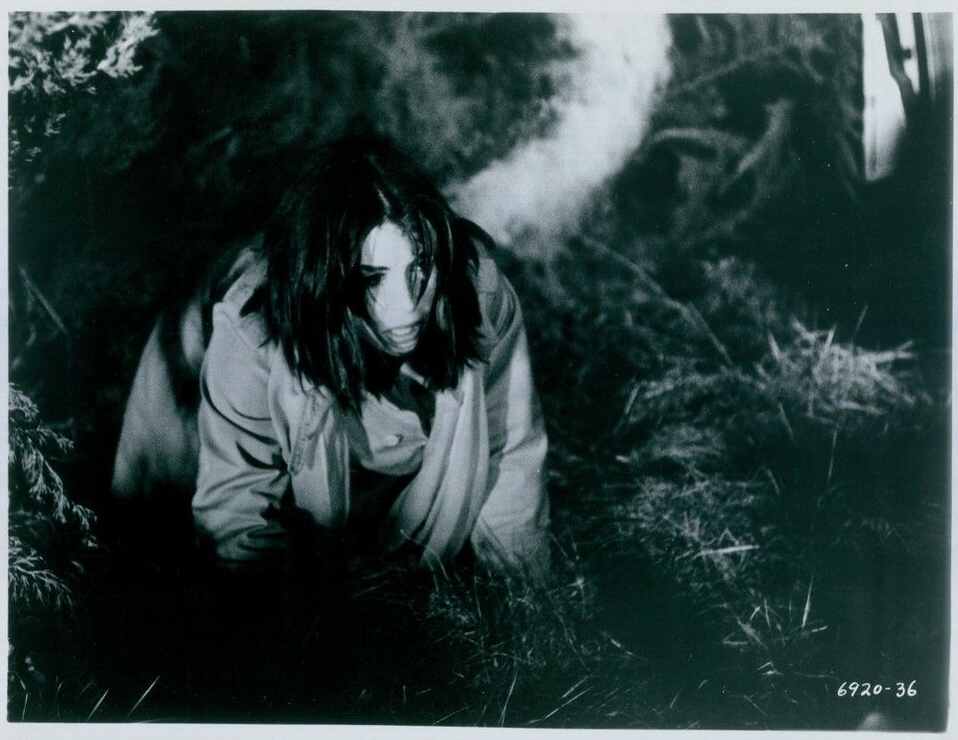 Picture of Talia Shire
