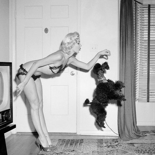 Picture of Misty Ayers