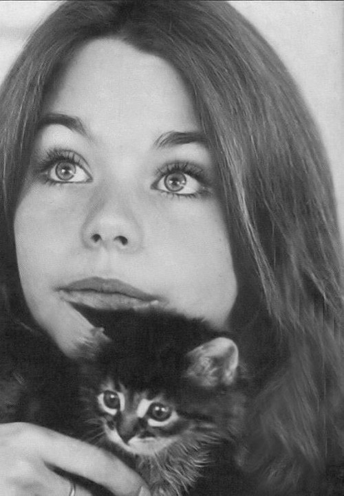 Susan Dey picture