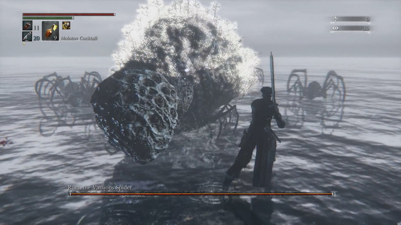 Picture of Rom, the Vacuous Spider