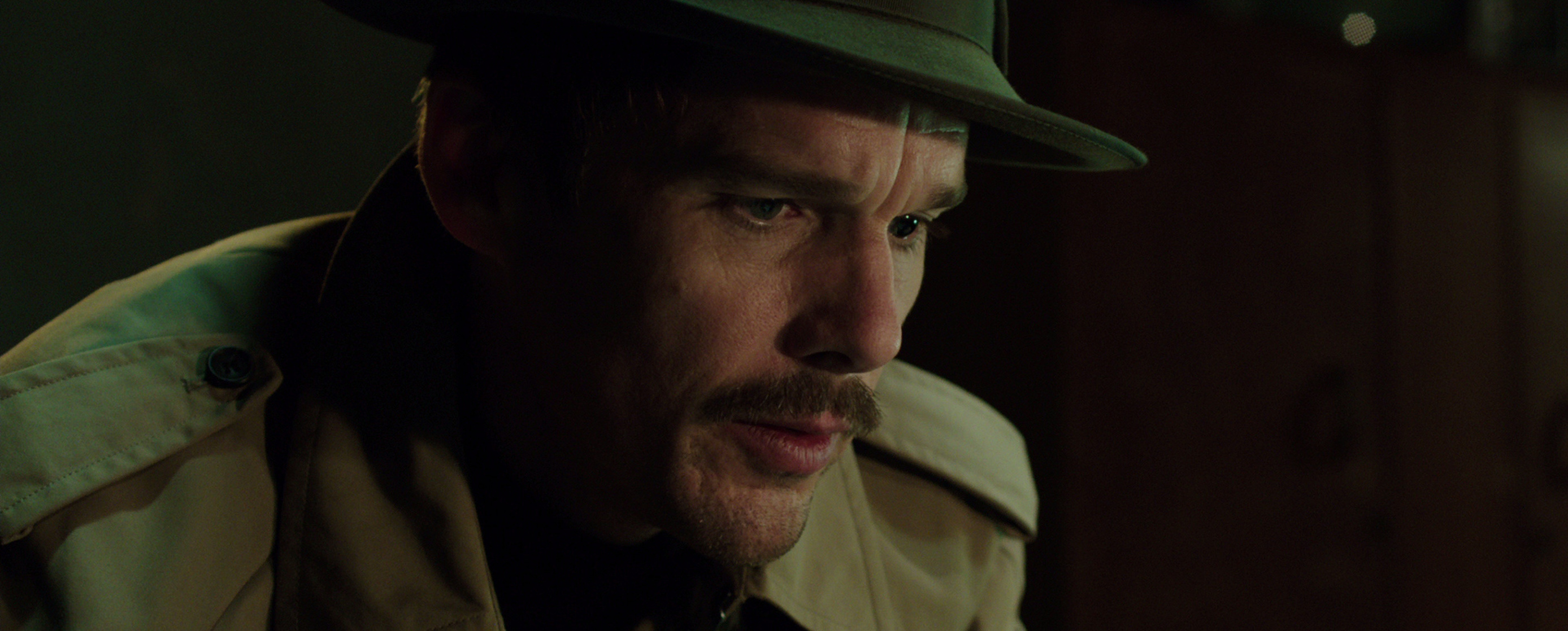 Picture of Predestination