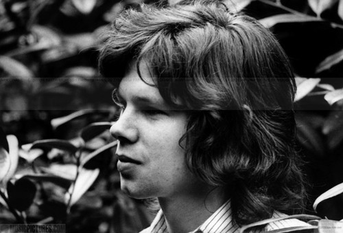 Picture of Nick Drake