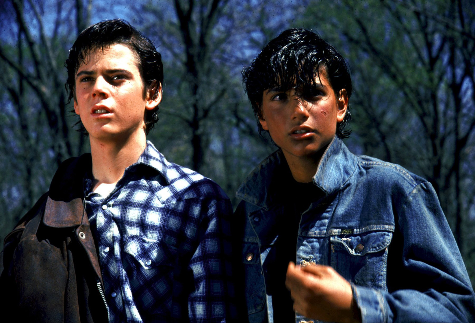 Image of The Outsiders (1983)