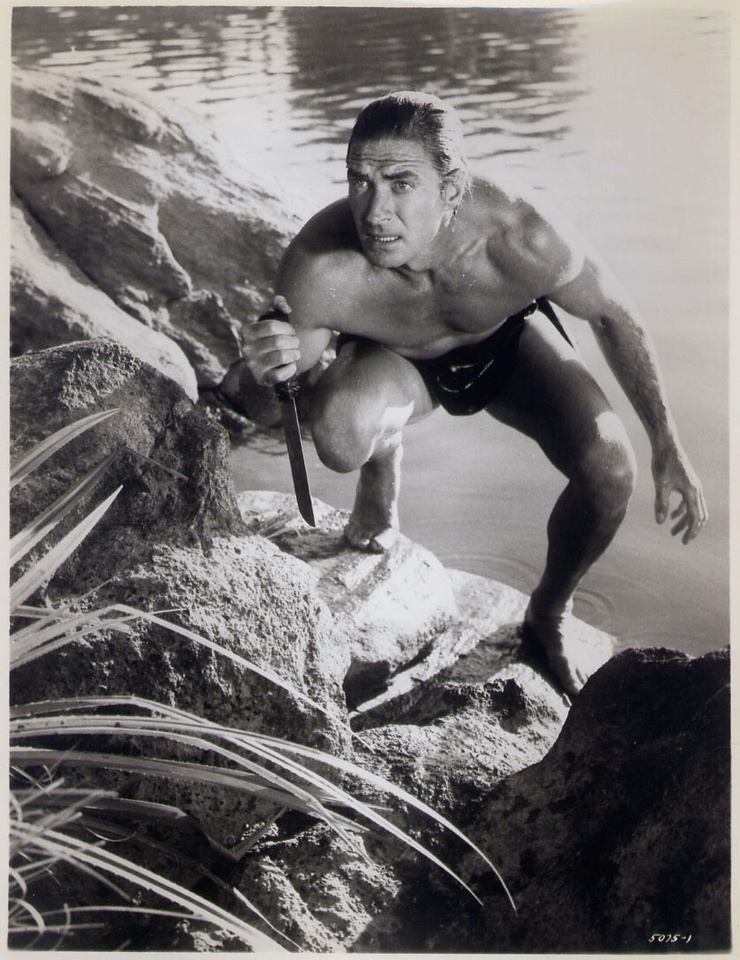 Picture of Tarzan Goes to India (1962)