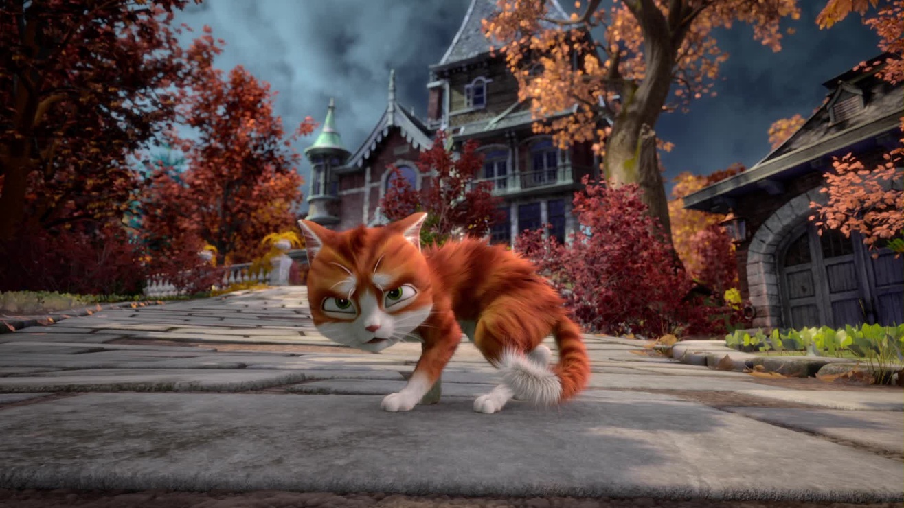 Image of The House of Magic