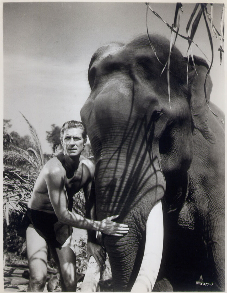 Picture of Tarzan Goes to India (1962)