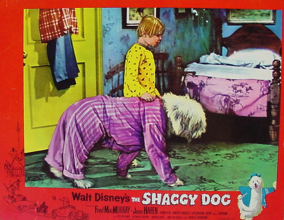 Picture of The Shaggy Dog