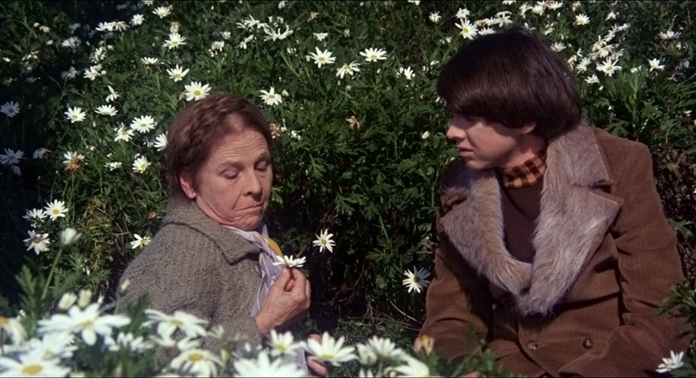 Ruth Gordon and Bud Cort