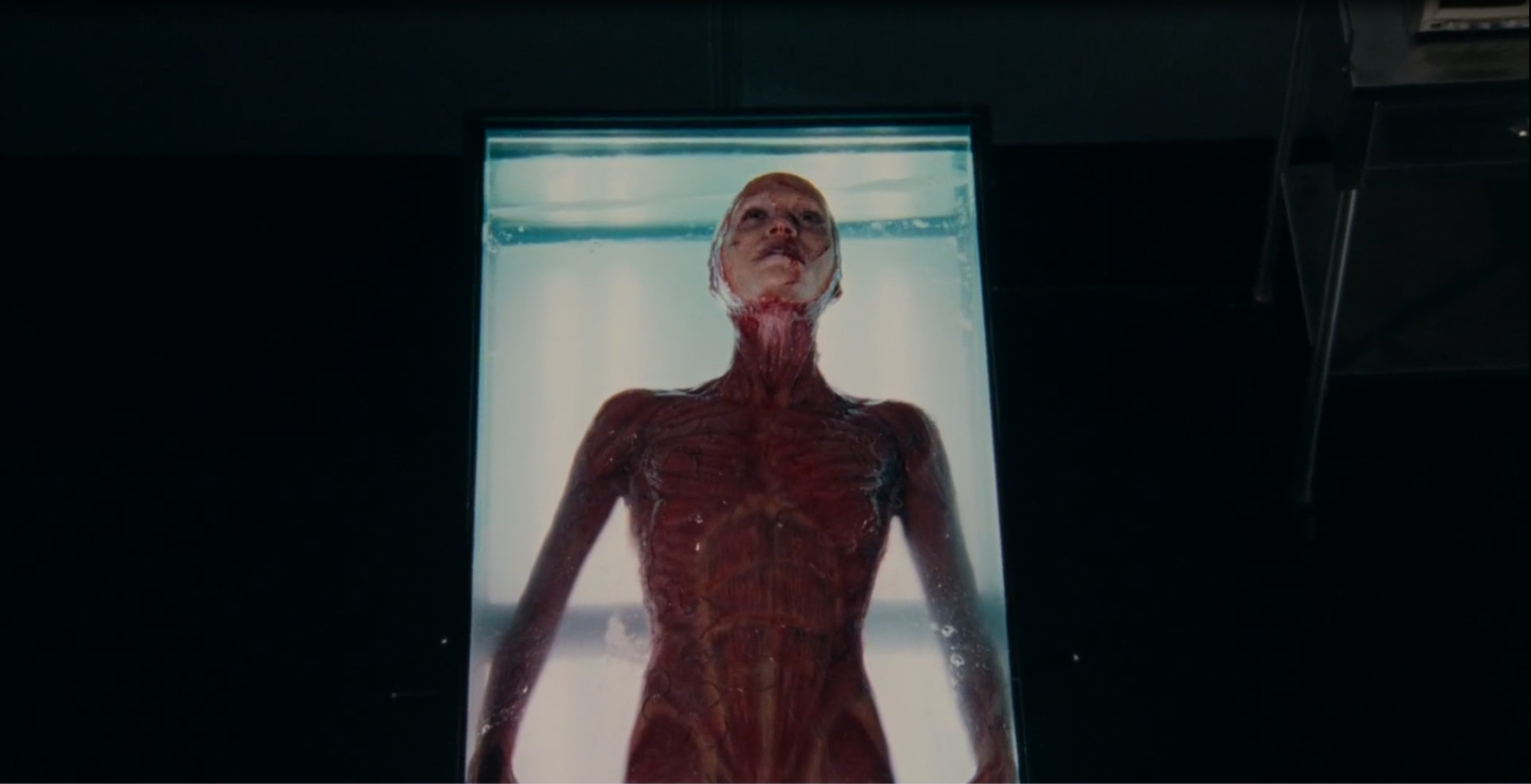 Martyrs image