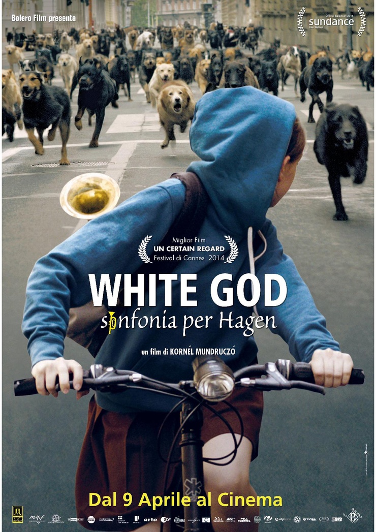 White God picture