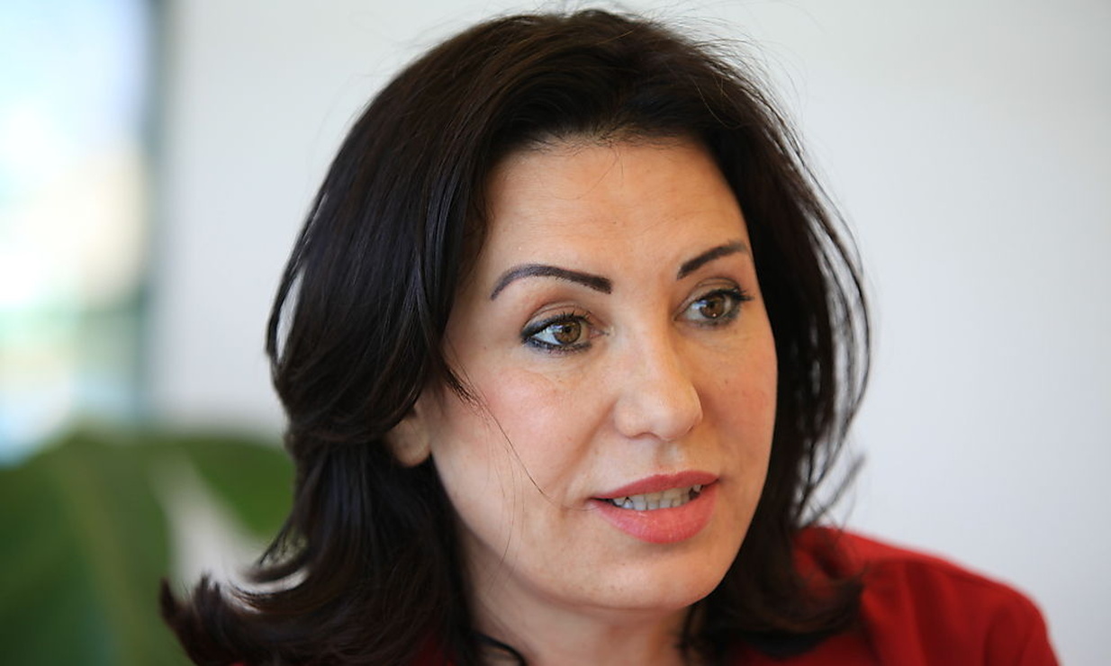 Brigitte Karner image