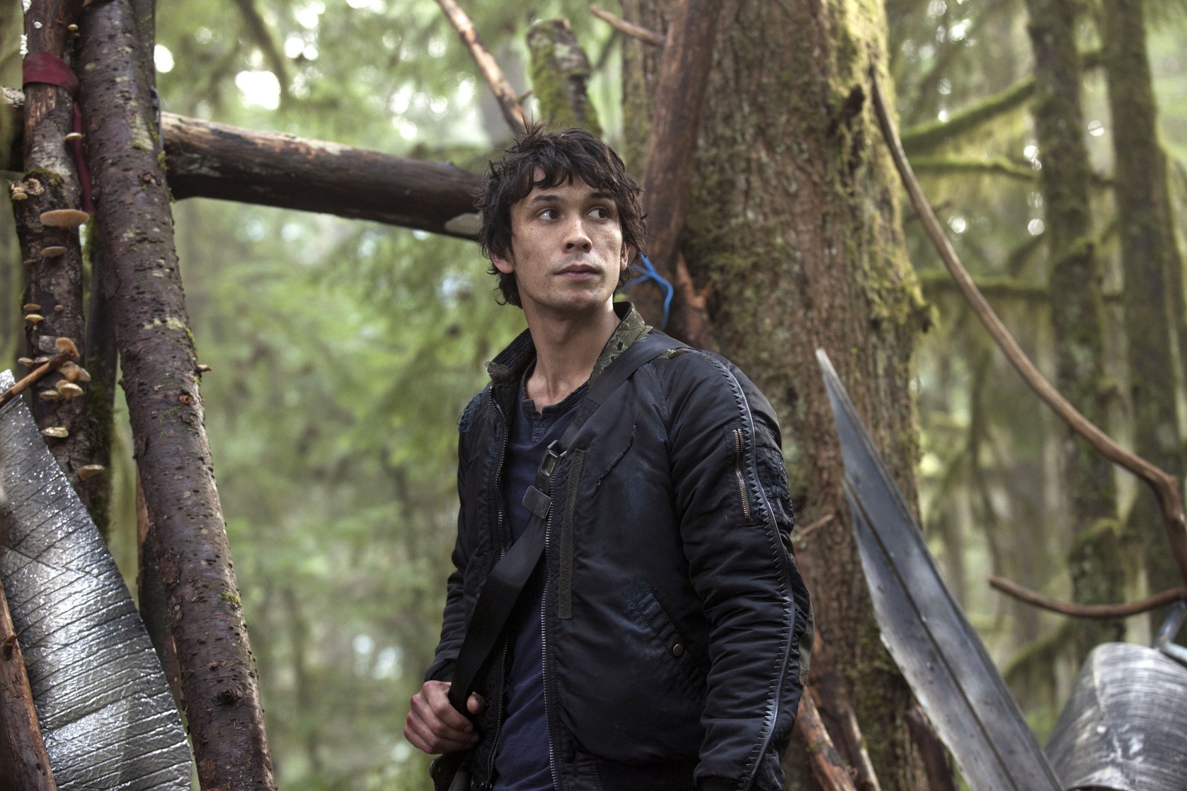 The 100 picture