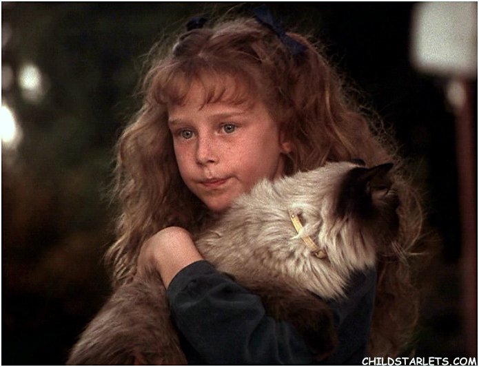 Picture of Homeward Bound: The Incredible Journey