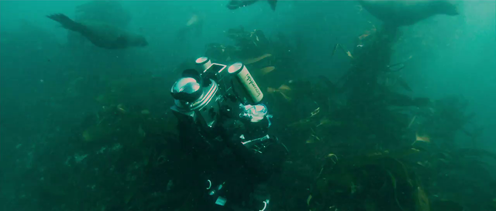 Dark Tide image