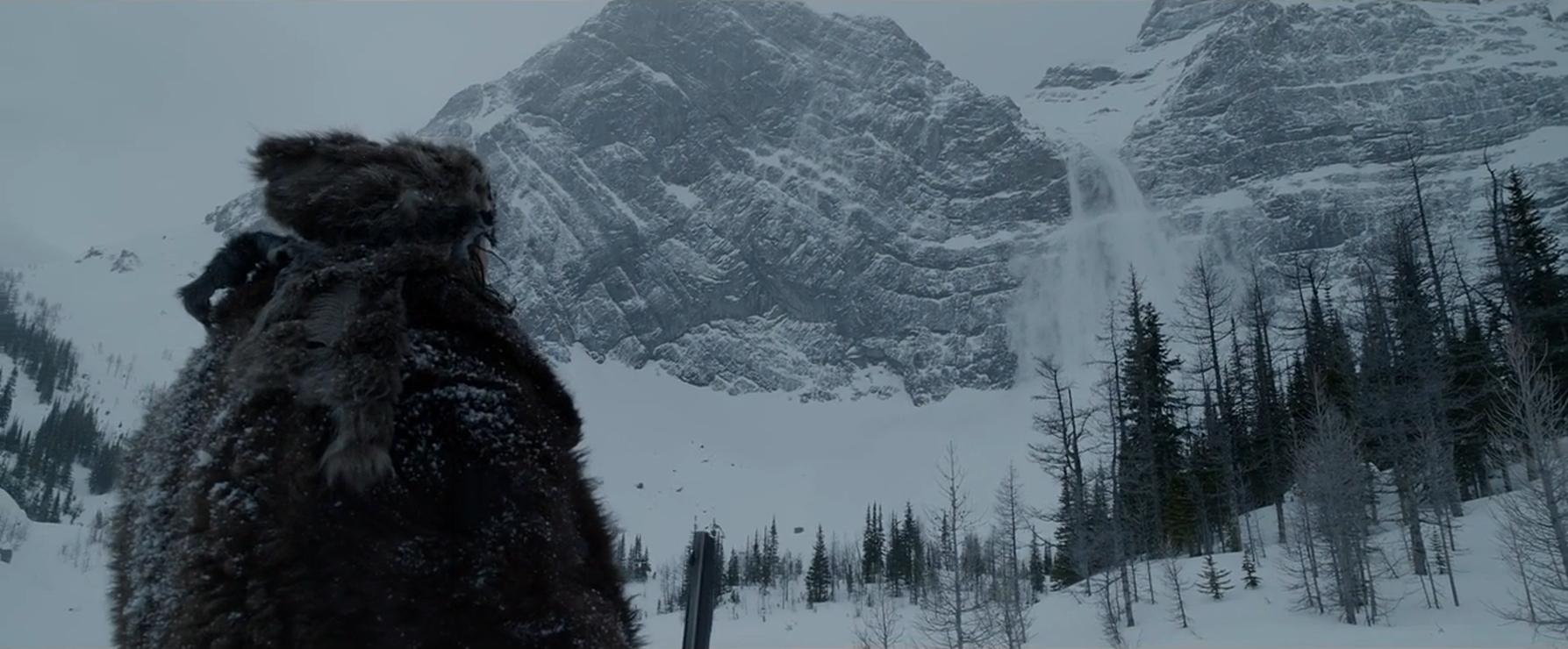 Picture of The Revenant