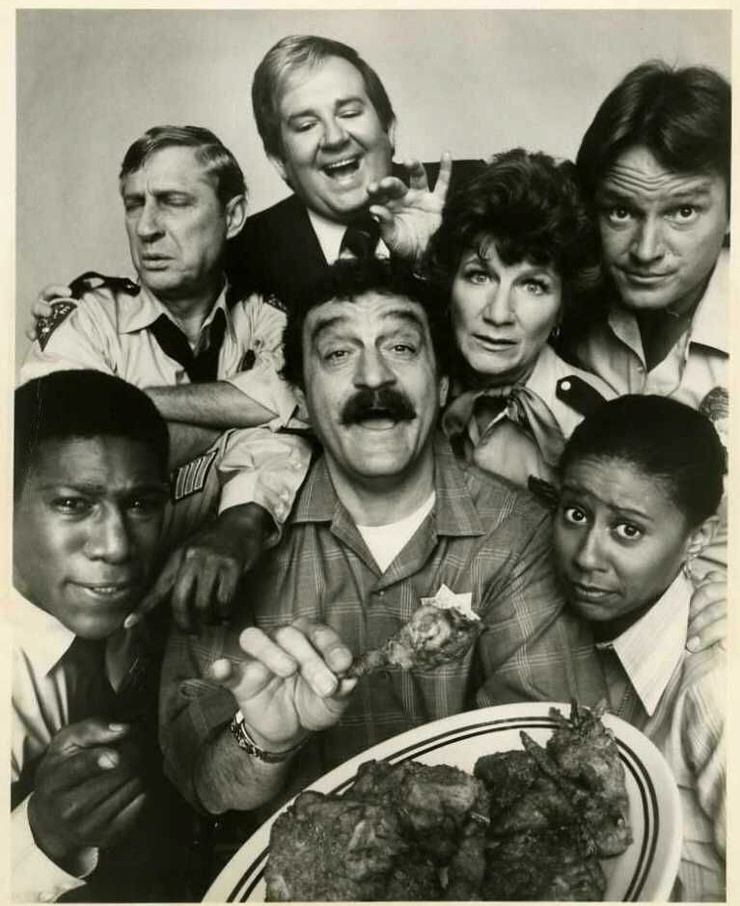 Picture of Carter Country (1977-1979)