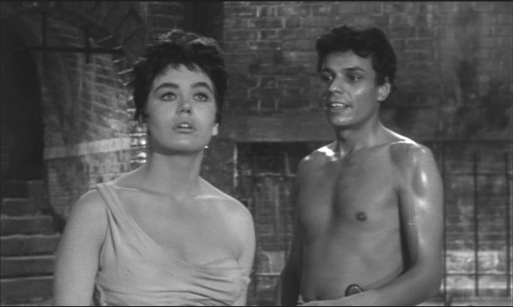 Picture of Joy Webster