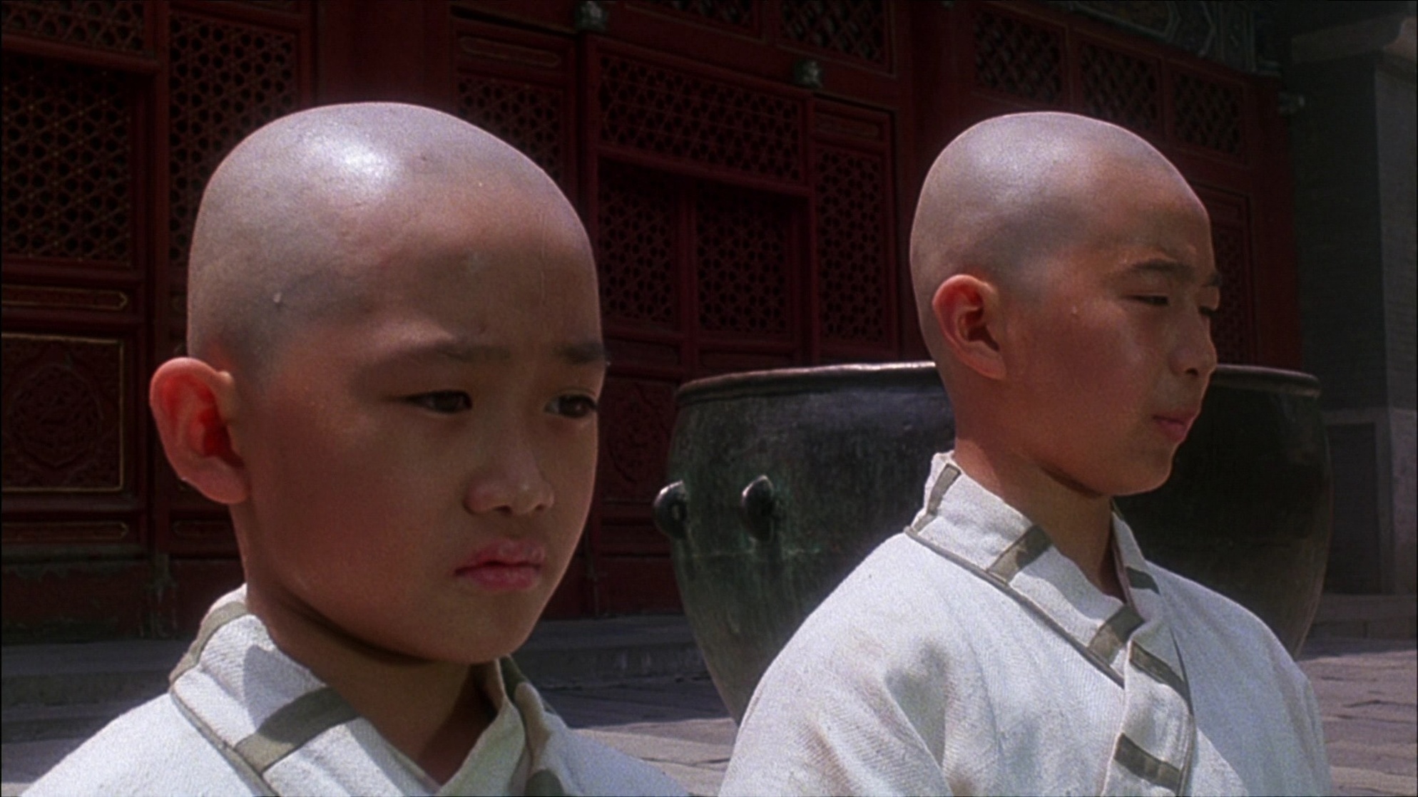 Tai-Chi Master (Twin Warriors) picture