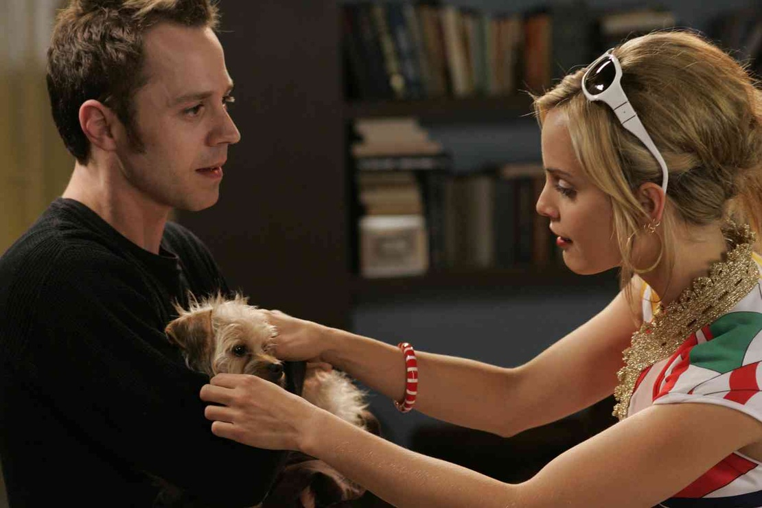 Picture of The Dog Problem