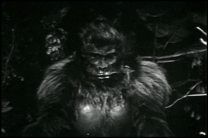 Image of Bride of the Gorilla
