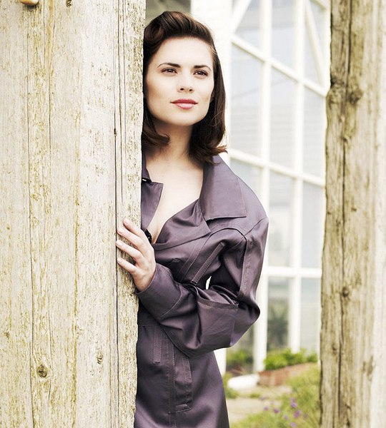 Hayley Atwell picture