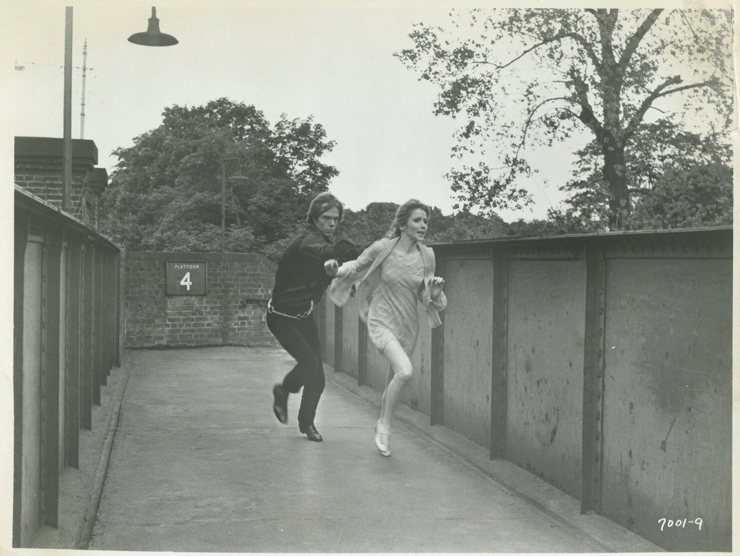 Scream and Scream Again image