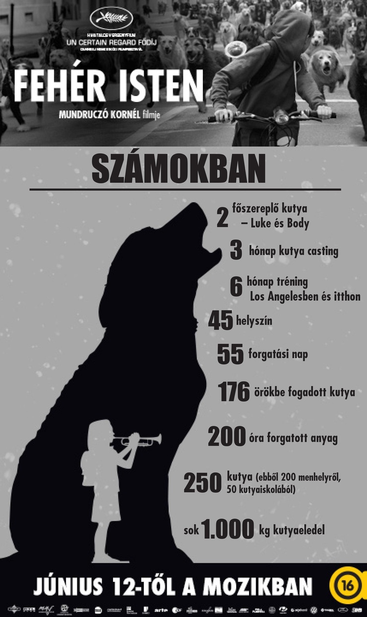 Picture of White God