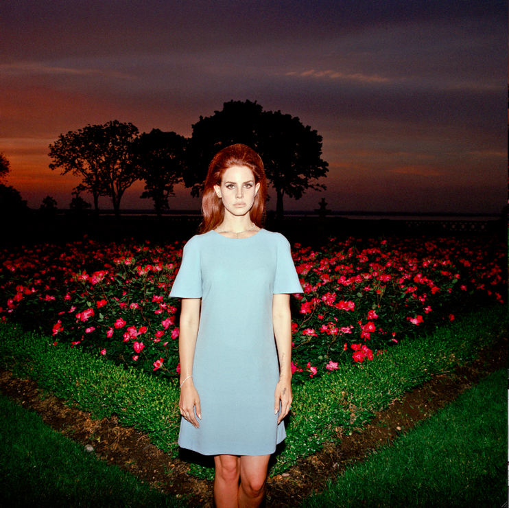 Picture of Born to Die