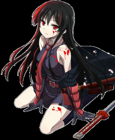 Picture of Akame