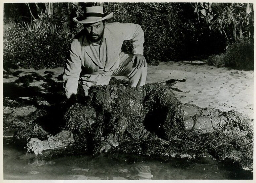 Fred Engelberg