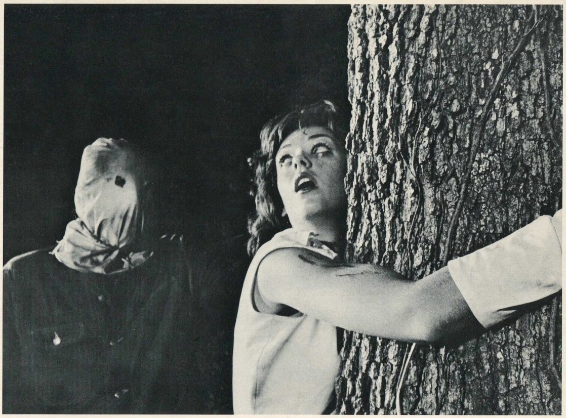 Picture of Cindy Butler